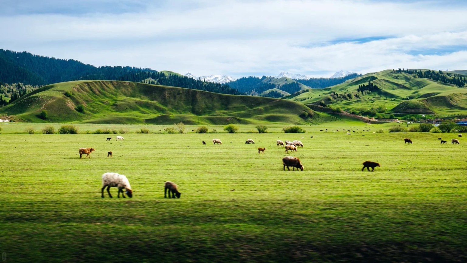 Best Time to Visit Xinjiang: Seasonal Travel Guide and What to See