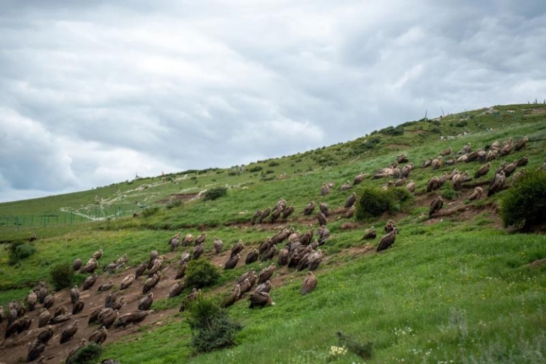 Sky Burial in Tibet: A Sacred Ritual of Life, Death, and Rebirth